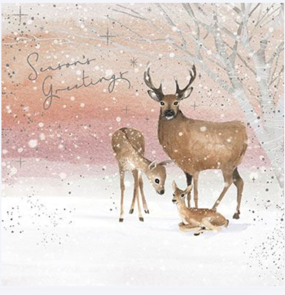 6 NSPCC / Cancer Charity Christmas Cards Deer Silver Foil - Etsy