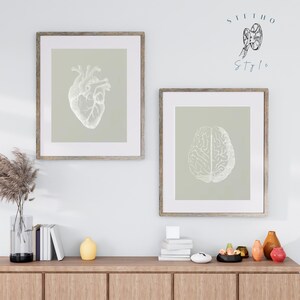Minimalist Human Anatomy Posters Abstract Anatomy Wall Art Canvas ...