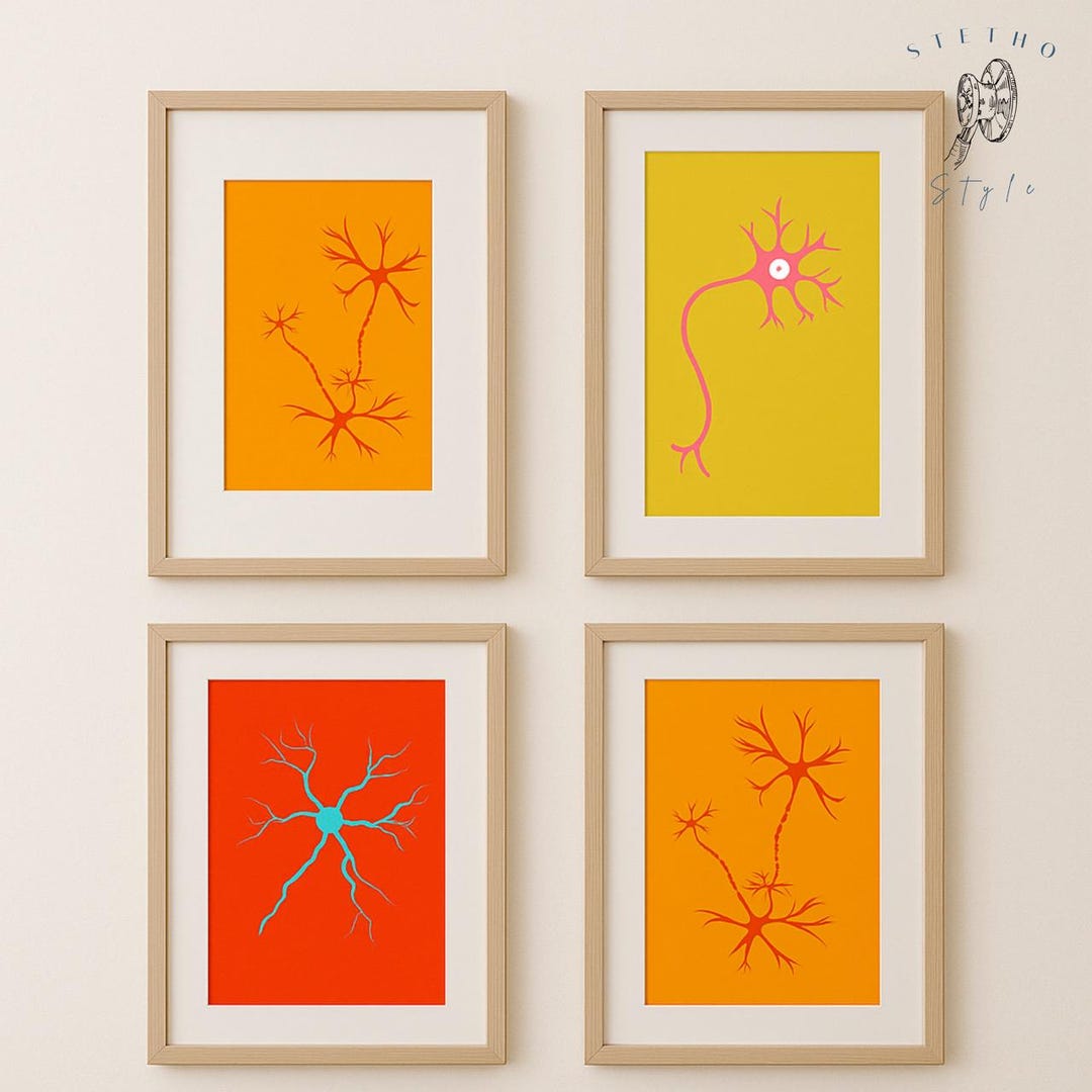 Colour Pop Medical Wall Art, Modern Doctors Office Prints, Neurology ...