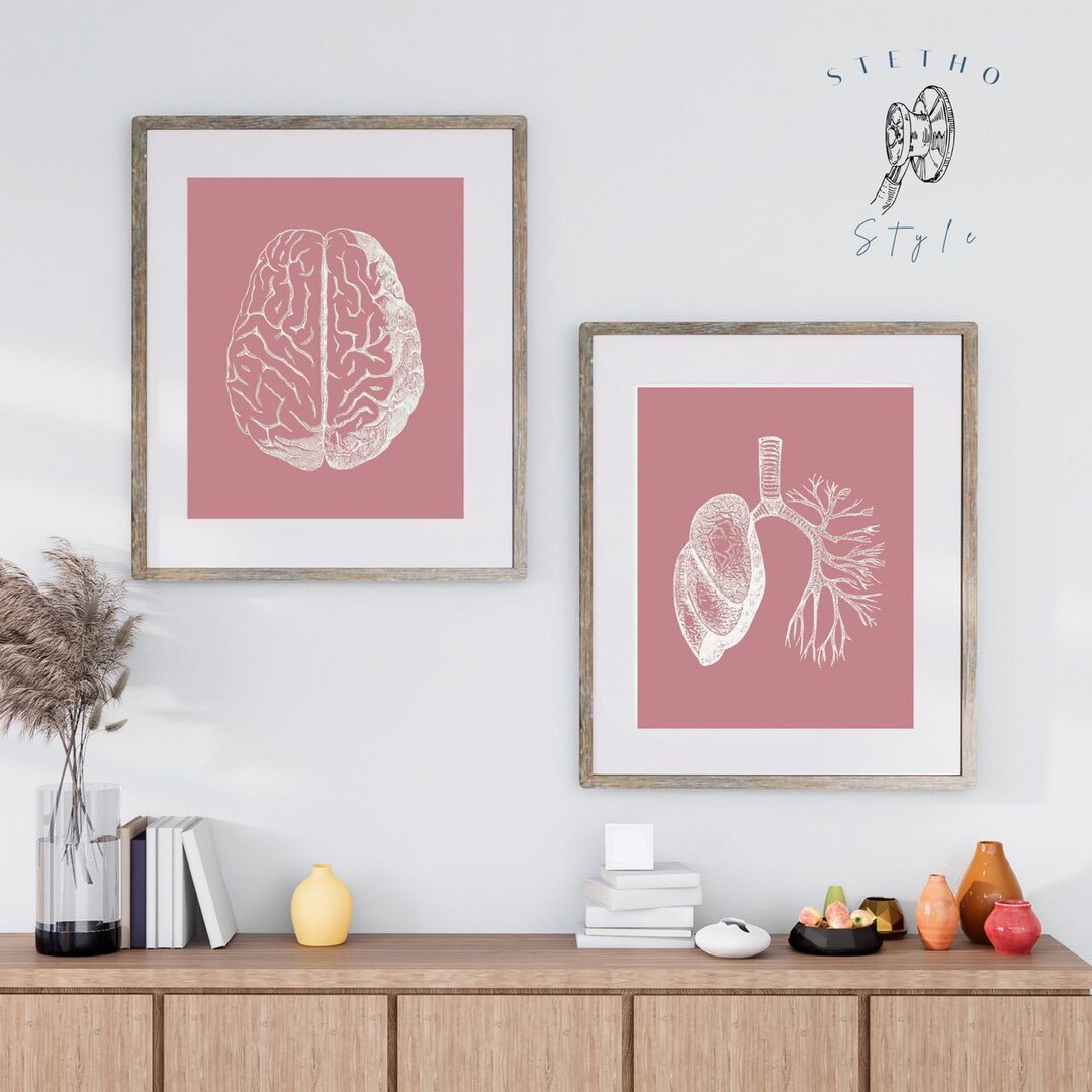 Human Anatomy and Physiology Posters, Modern Anatomy Wall Art, Brain ...