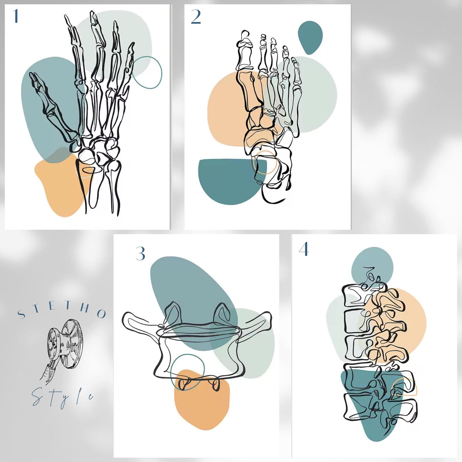 Human Anatomy Medical Wall Art Canvas Prints for Clinic Doctors Office ...