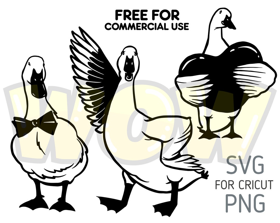 Funny Goose Svg Cricut Svg, Farm Animals Svg, Zoo Cricut. Funny Duck ...
