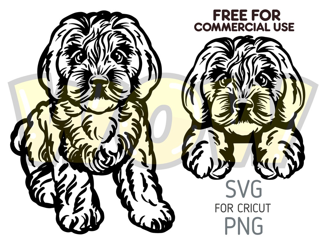 Cute Cavapoo Svg for Cricut. Dog Svg Cricut. Funny Cavapoo Clipart ...