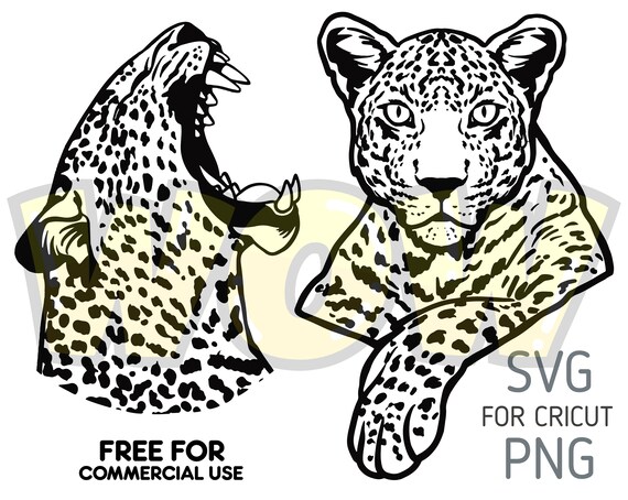 Cute Leopard Svg Cricut Svg African Safari Animal Svg Zoo - Etsy