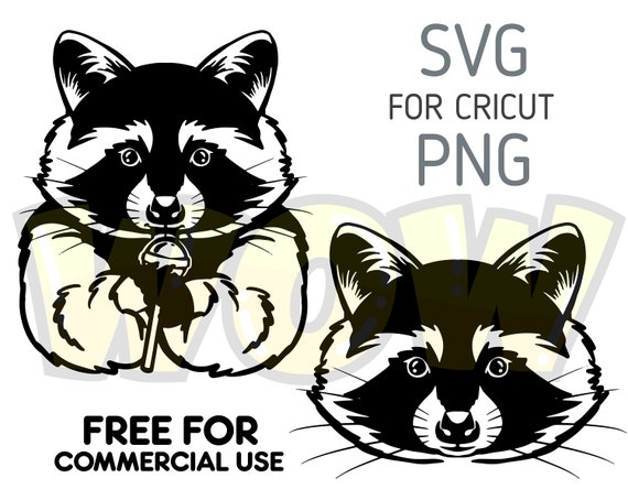 Lindo mapache svg para cricut mapache con archivo de corte de - Etsy España