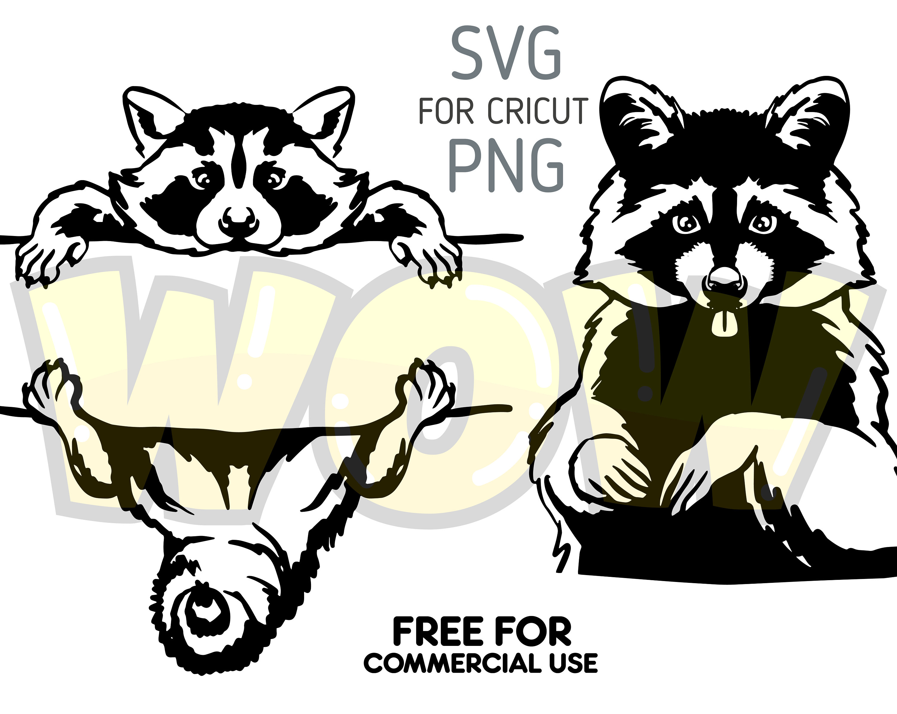 Funny Raccoon Svg for Cricut, Cute Raccoon Cut File, Digital ...