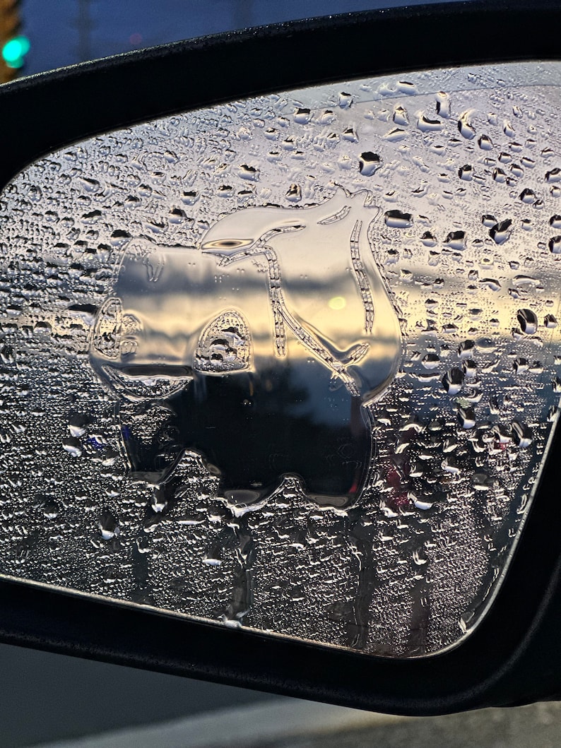 Anti Fog/rain Bulbasaur Mirror Peeker - Pokemon Car Accessories ...