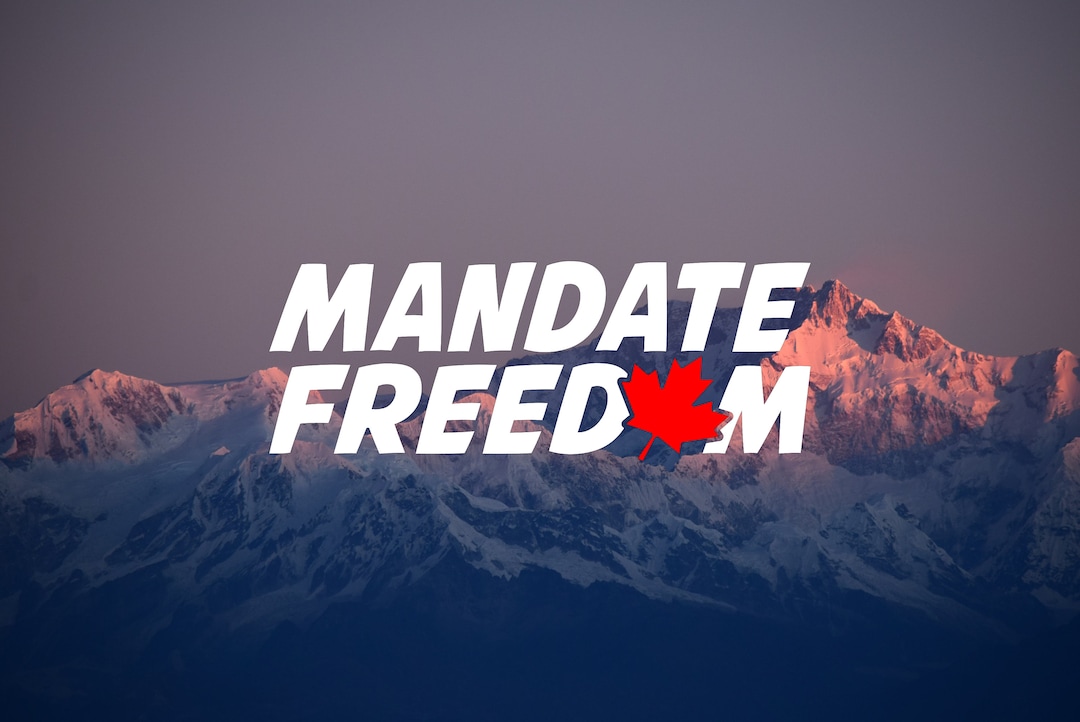 MANDATE FREEDOM 2 Colour Die Cut Decal 3M Vinyl. Outdoor Rated - Etsy