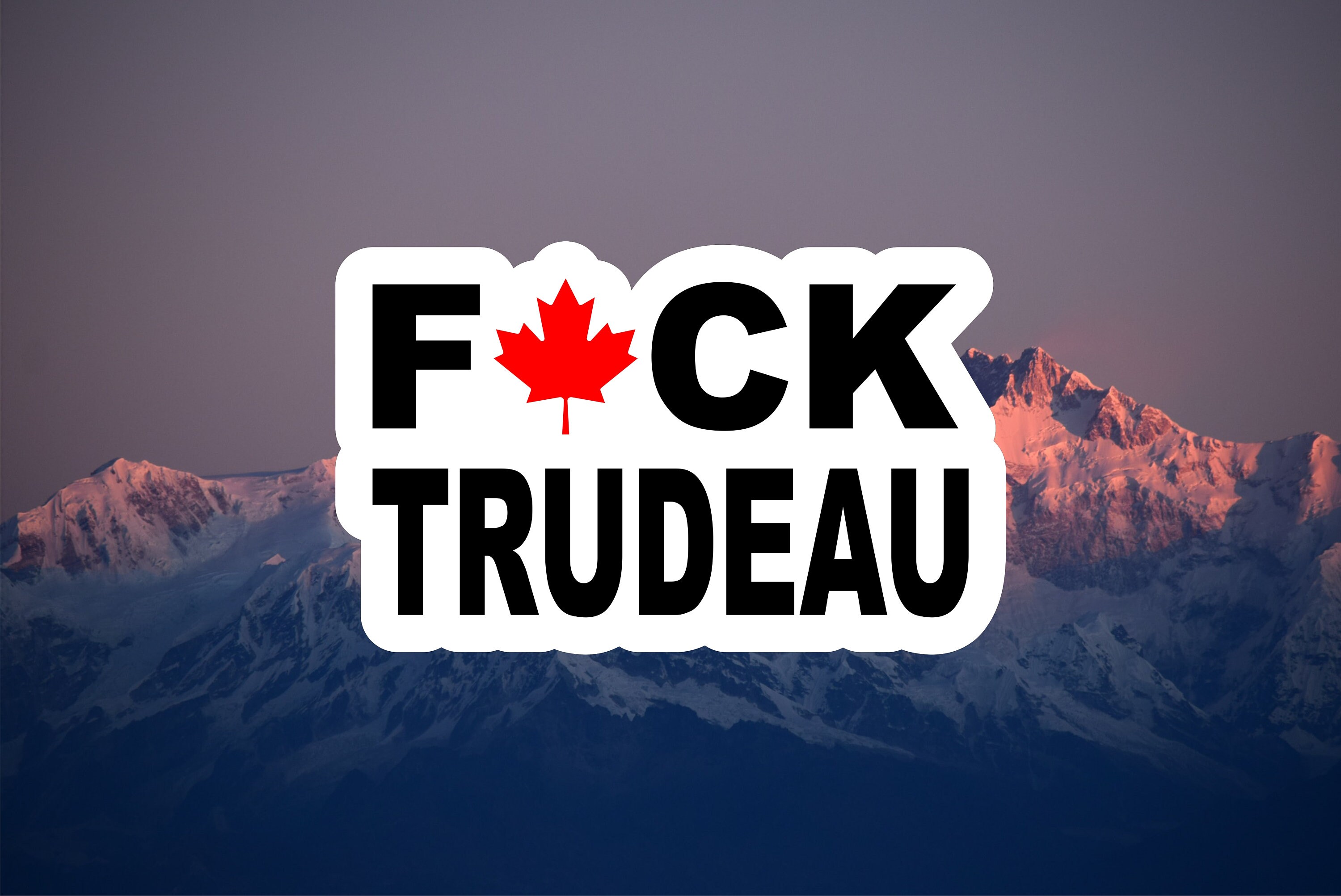 FCK TRUDEAU Die Cut Vinyl Decal reflective - Etsy Canada