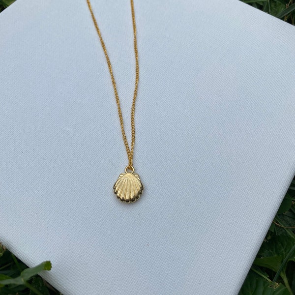 Preppy Seashell Necklace - Etsy