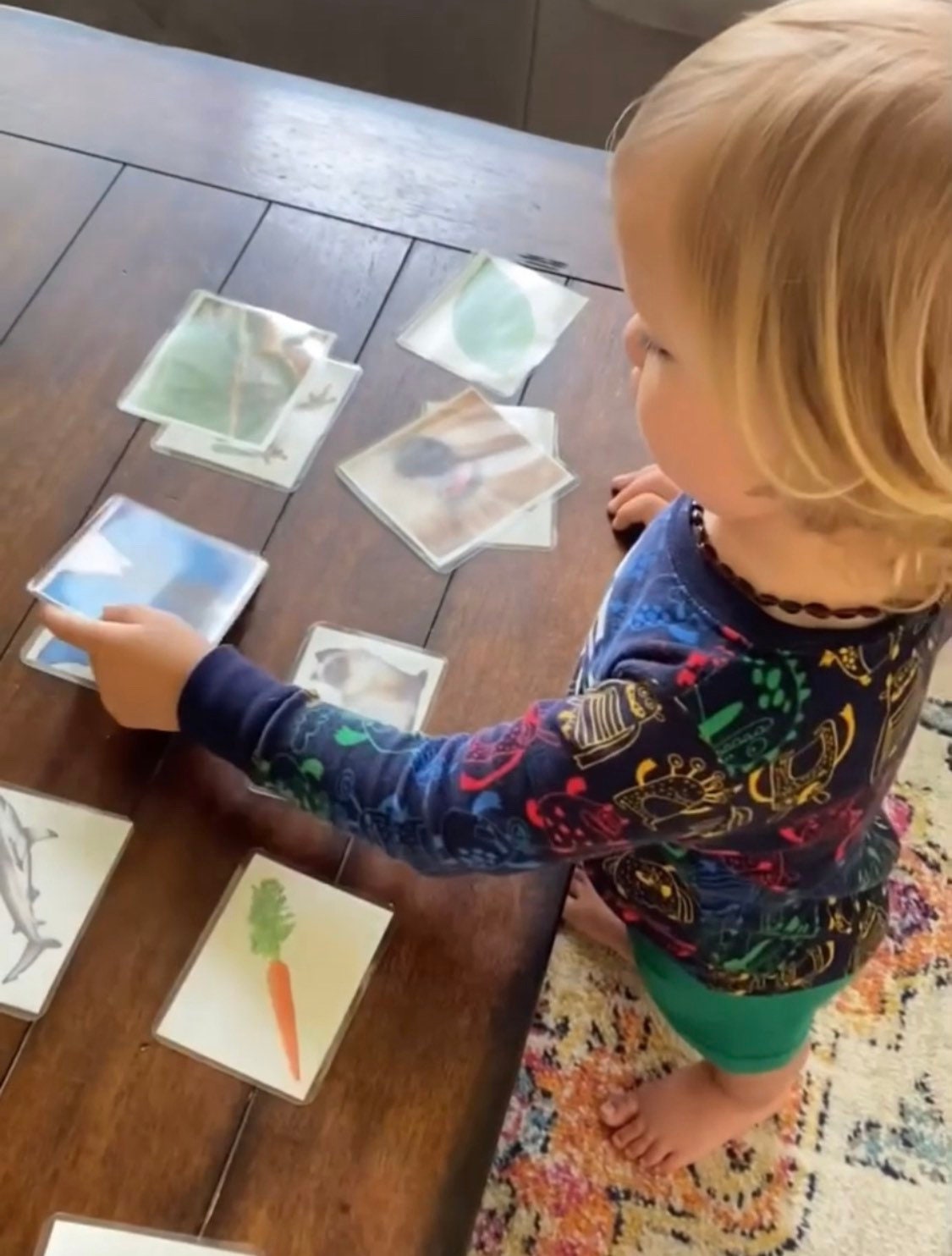 Montessori Macro Matching Cards - Etsy