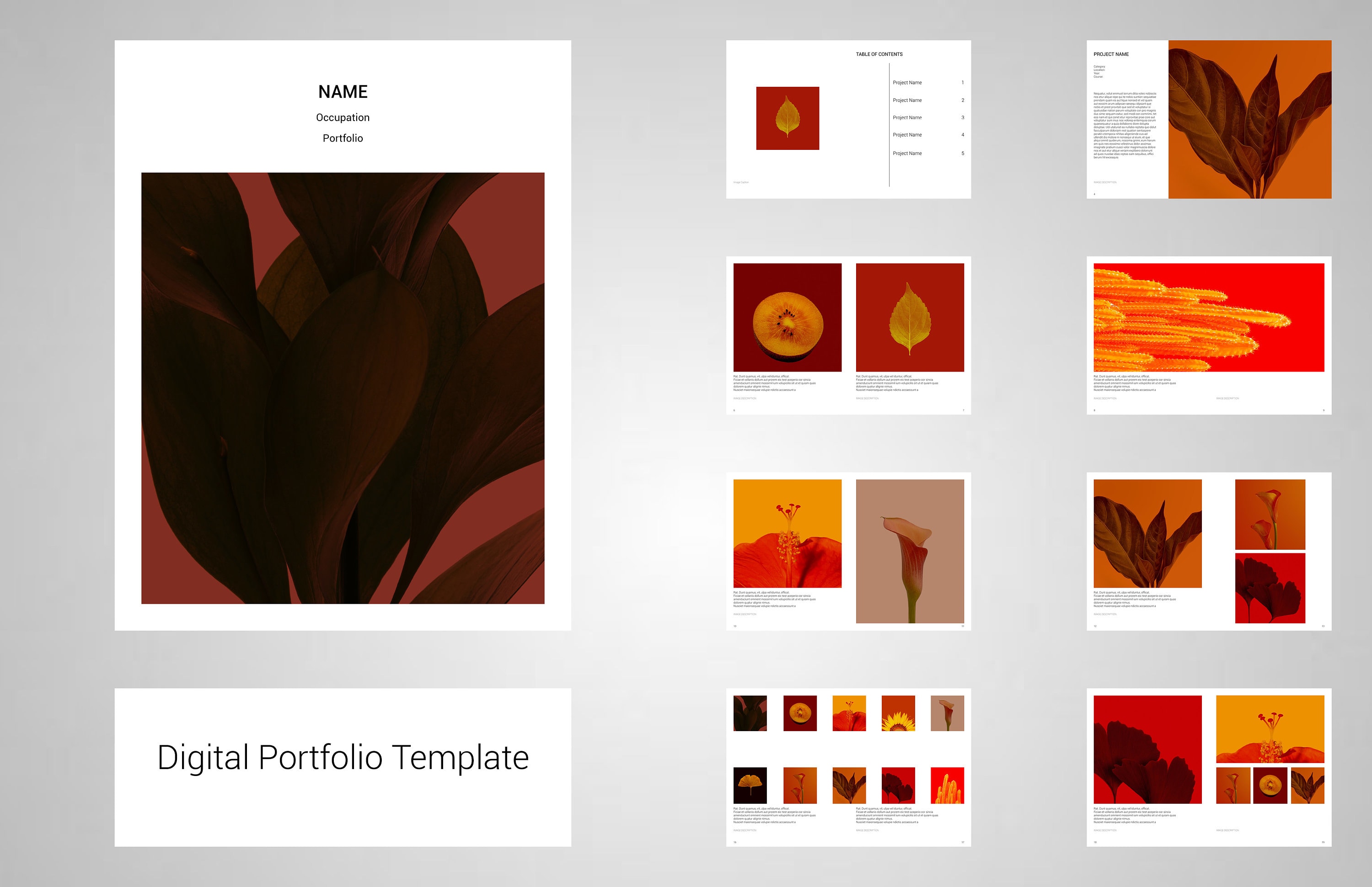 Portfolio Template | Minimalism | Photography | Art | Architecture ...
