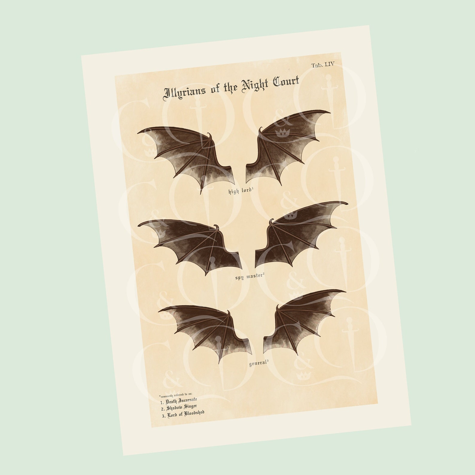 Illyrians of the Night Court ACOTAR Bat Boys Inspired Print - Etsy