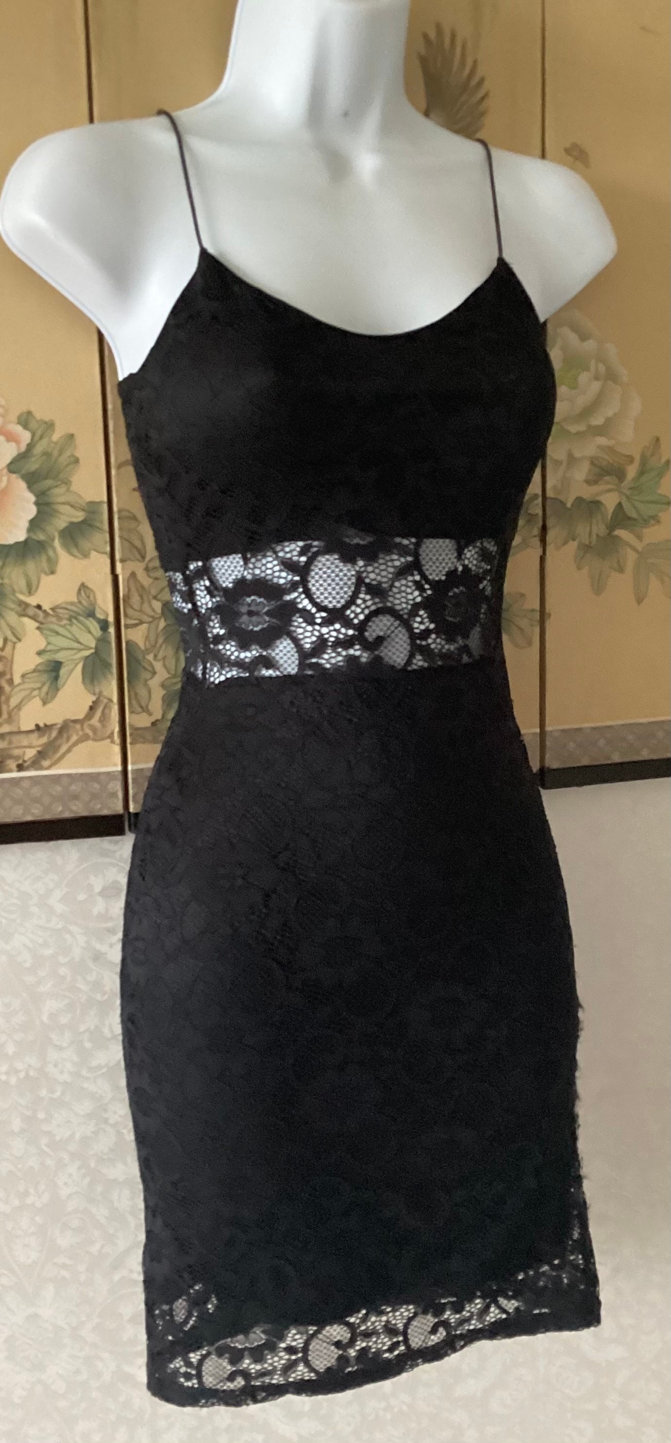 Lacy Black Hip Hugging Sheer Waist Line. - Etsy
