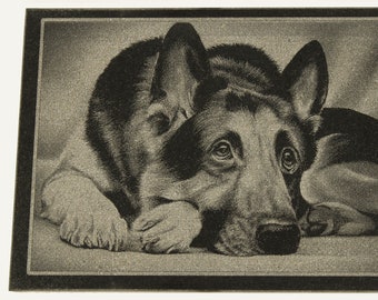 Personalised White Trophy Engraving Plate 50mm X 15mm, 60x25mm or ...