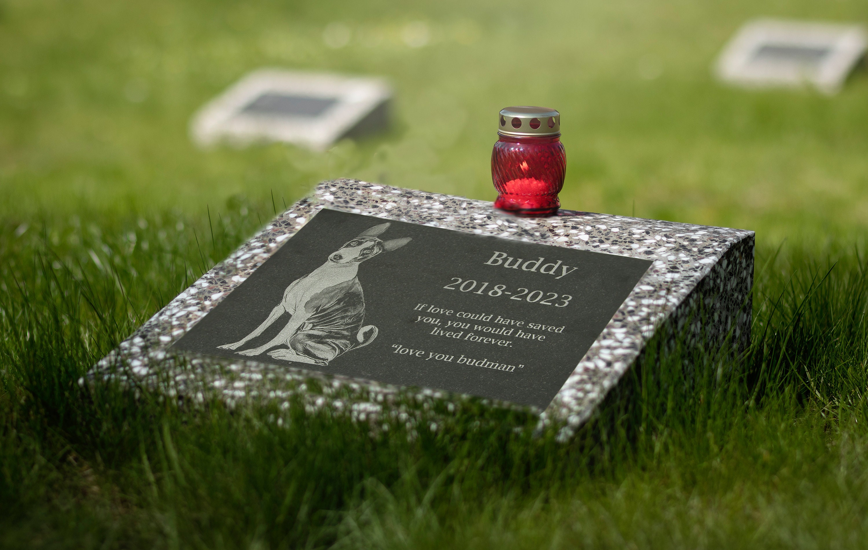 Dogs Memorial Stone, Personalized Engraved Photo, Dog Memorial Stone ...