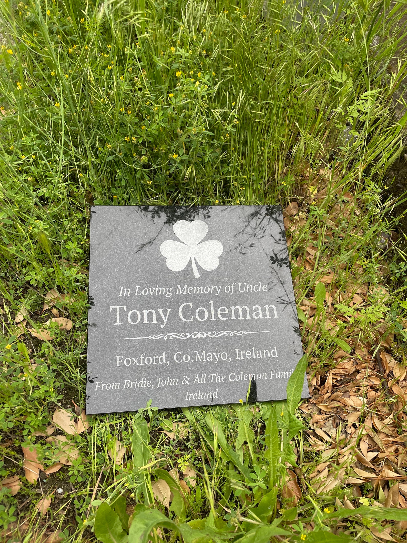 Personalized Irish Memorial Stone: Shamrock & Celtic Harp Grave Marker ...