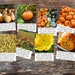 Pumpkin Printables - Pumpkin Fact Cards - Pumpkin Anatomy Posters ...