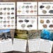 Rocks and Minerals Printables - Rocks and Minerals Identification Cards ...
