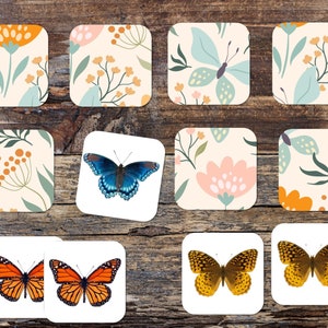 Butterfly Printables - Butterfly Identification - 3 Part Cards ...