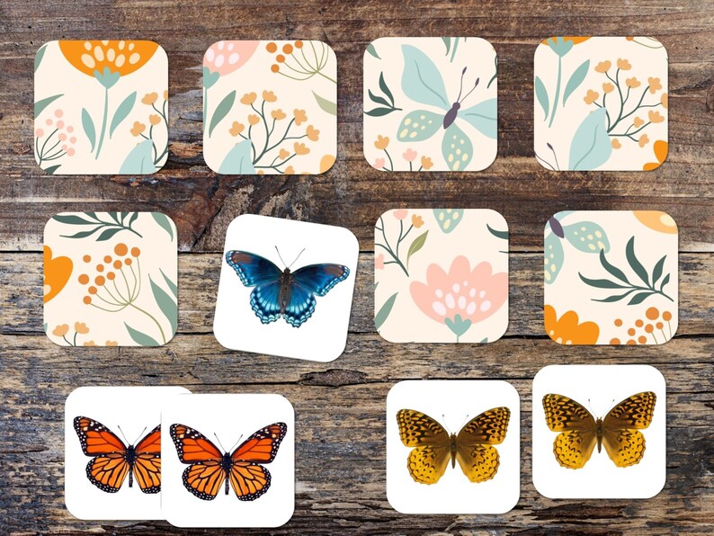 Butterfly Printables - Butterfly Identification - 3 Part Cards ...