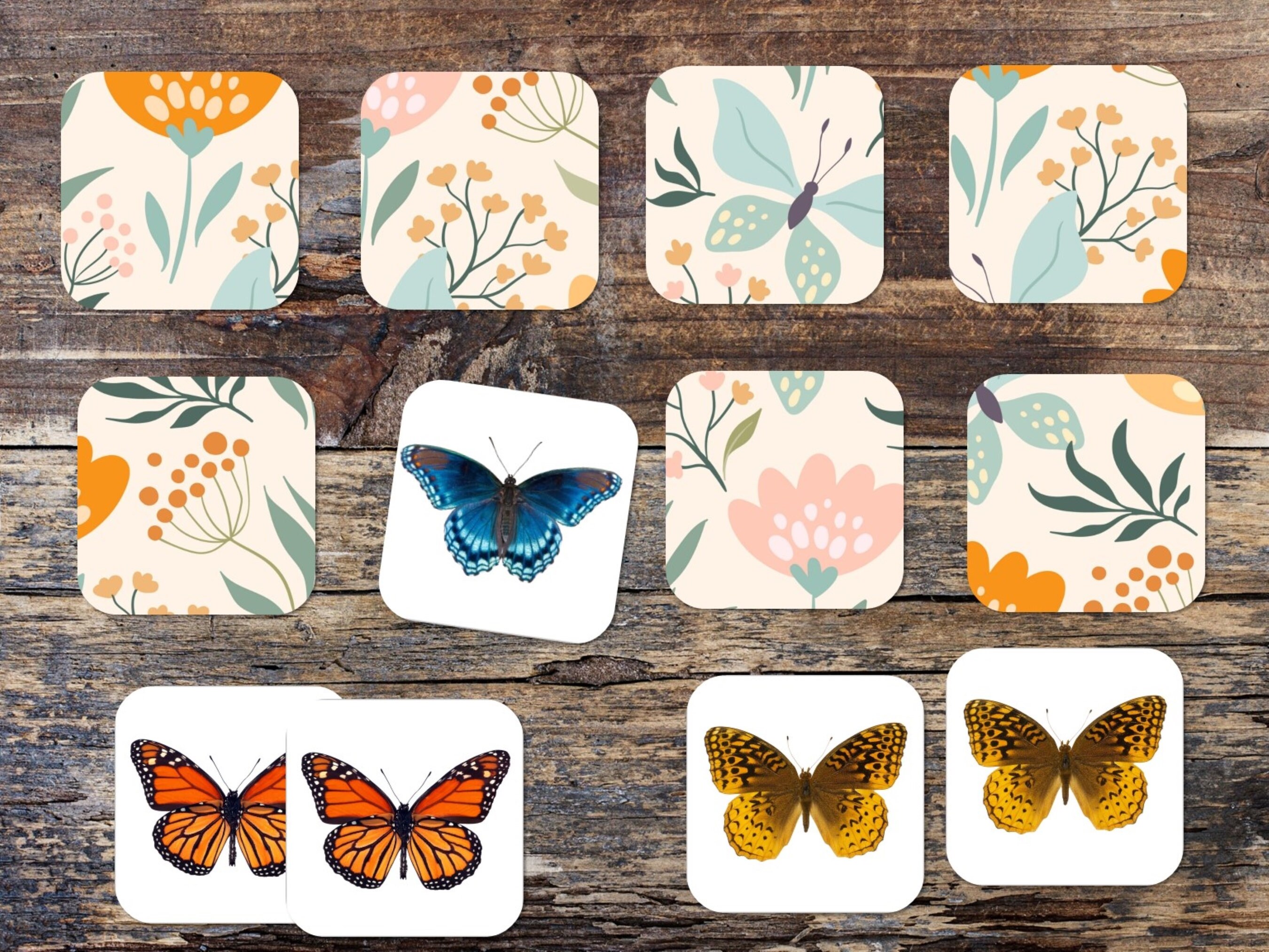 Butterfly Printables - Butterfly Identification - 3 Part Cards ...