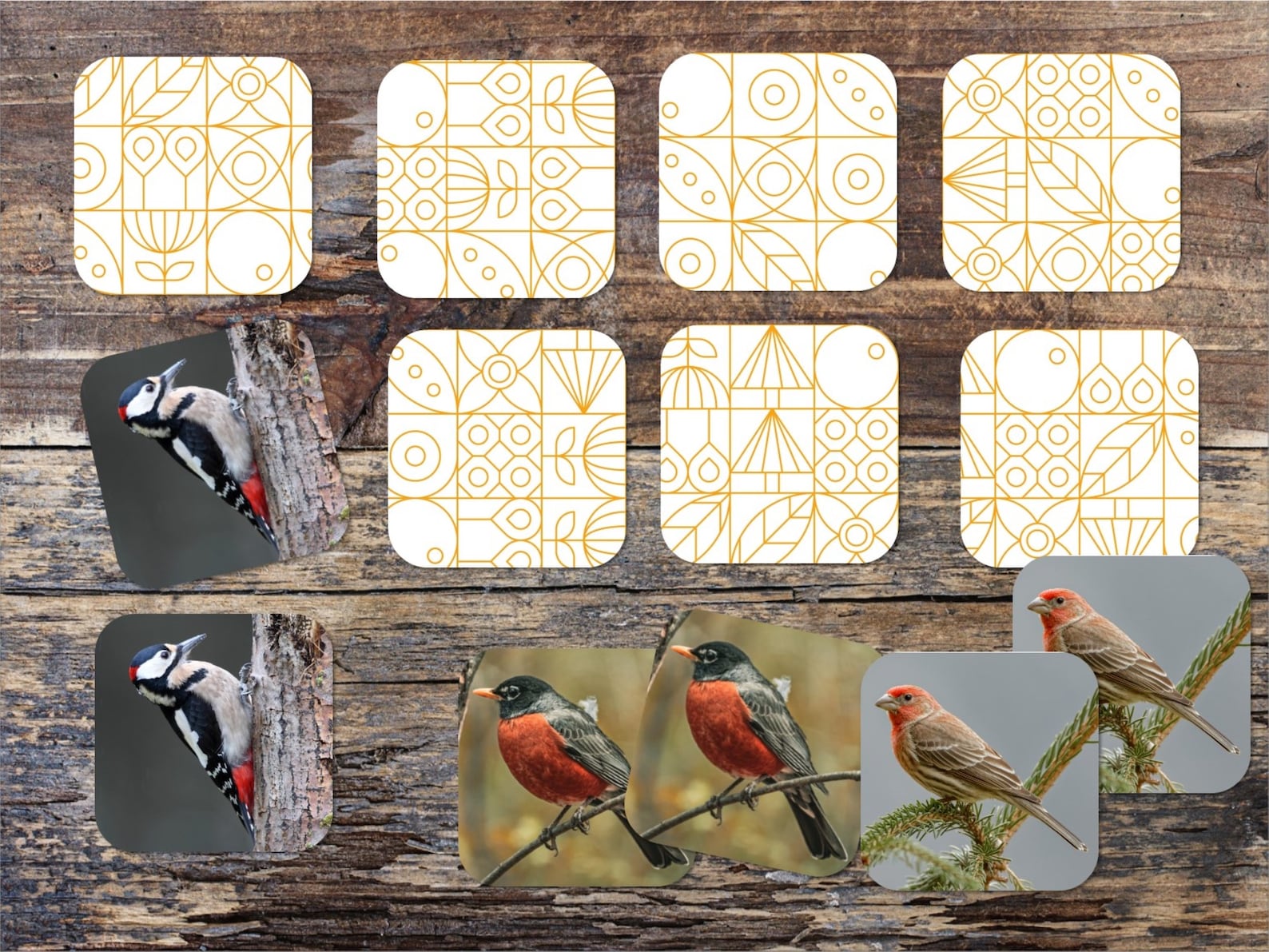 Backyard Bird Printables - Bird Identification - 3 Part Cards - Anatomy ...