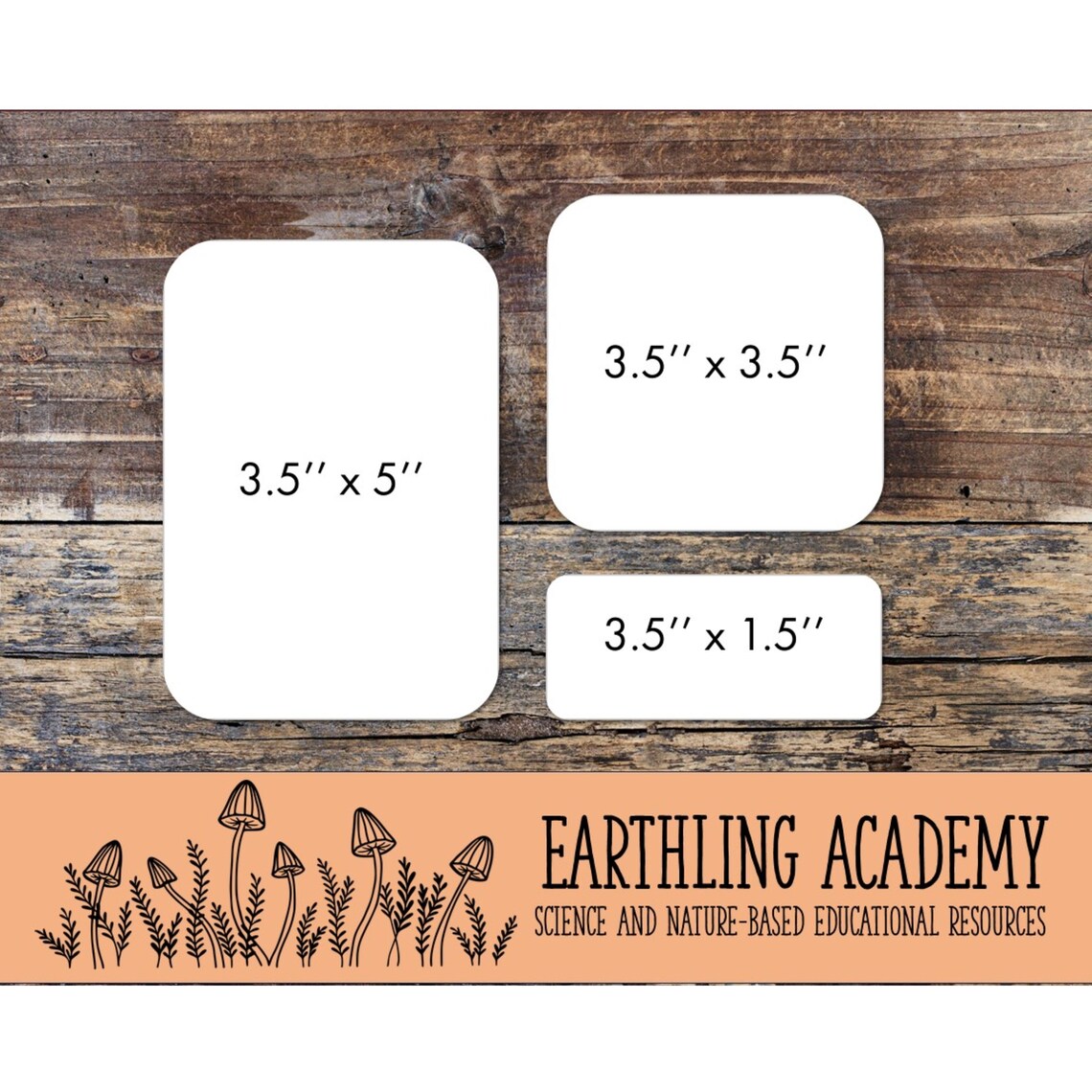 Sea Turtle Life Cycle 3-part Card Montessori Card Set - Etsy