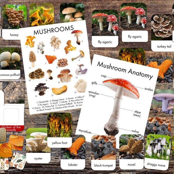 Matching Mushroom Print - Etsy