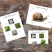 Snail Printables - Snail Fact Cards - Snail Anatomy Poster - Snail Life ...