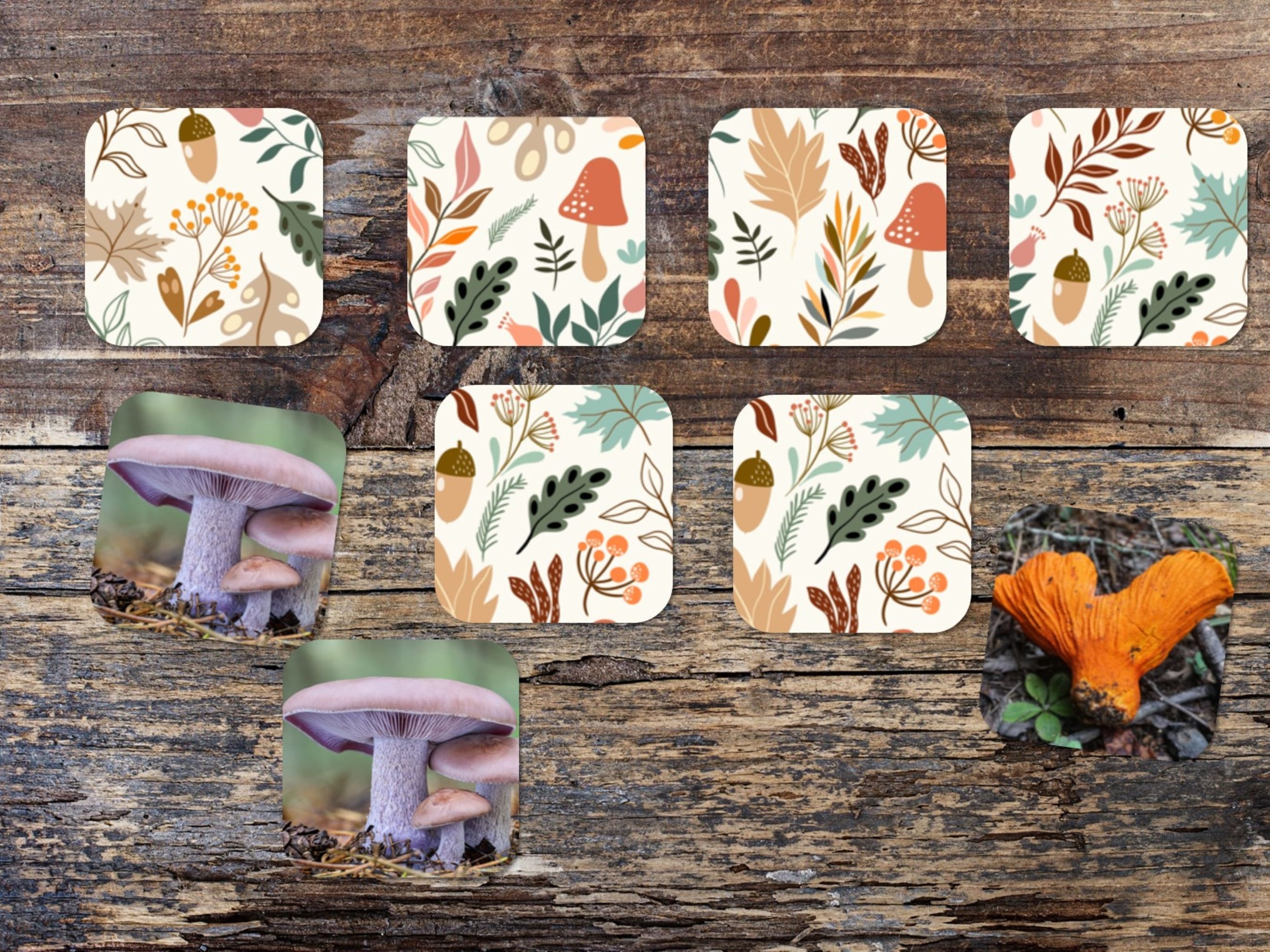 Mushroom Printables - 3 Part Cards - Mushroom Anatomy and ...