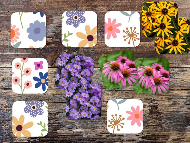 Wildflower Printables - Wildflower Identification - 3 Part Cards ...