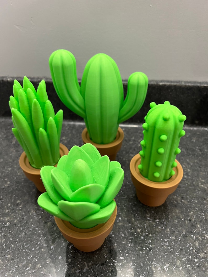 Modern Cactus Decoration, Minimalist Office Decor, 3D Printed Succulent ...