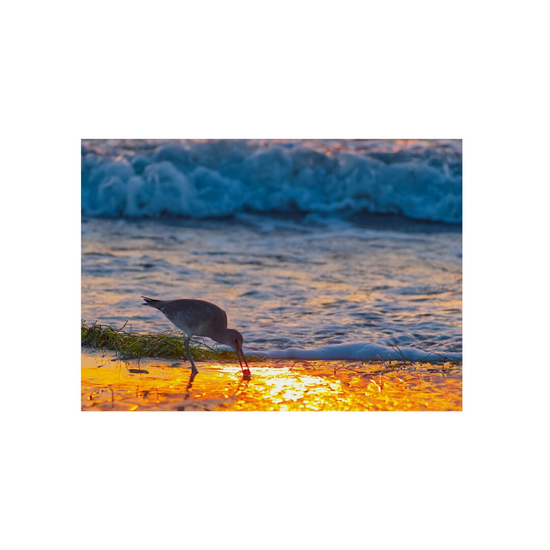 Sunset San Diego Frame Ocean Sunset Print Portrait Photography Sunset ...