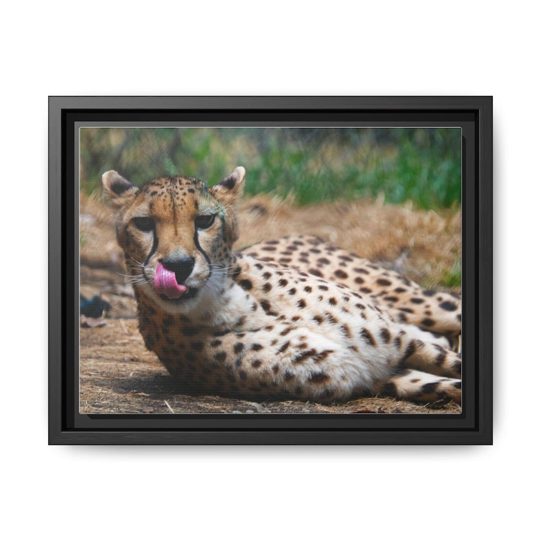 Cheetah Wall Art Photo | Leopard Wall Art | Wild Animal Wall Art ...