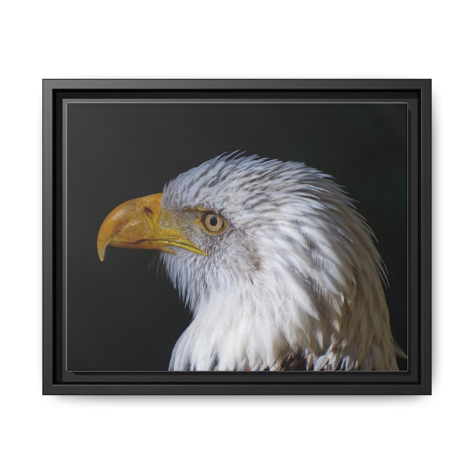 Eagle Poster | Wildlife Wall Art | Bald Eagle Print | Patriotic Home ...