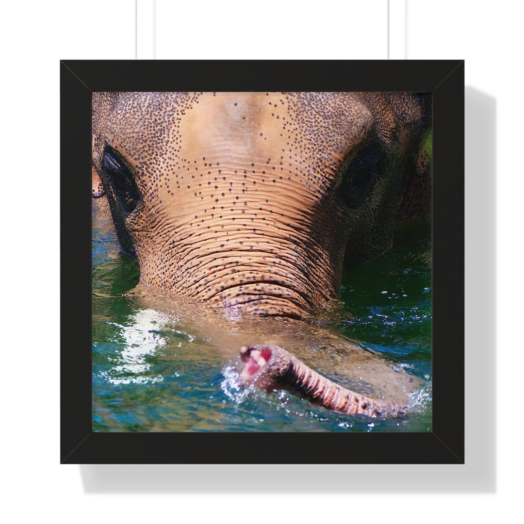 Asian Elephant Framed Poster | Watercolor Framed Print | Wall Art ...