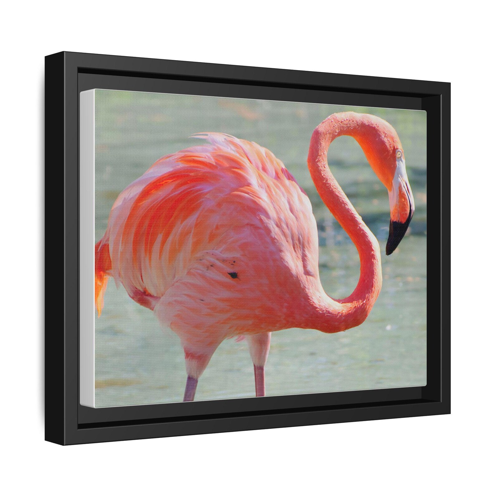 Pink Flamingo Framed Canvas Print | Tropical Home Decor - Etsy