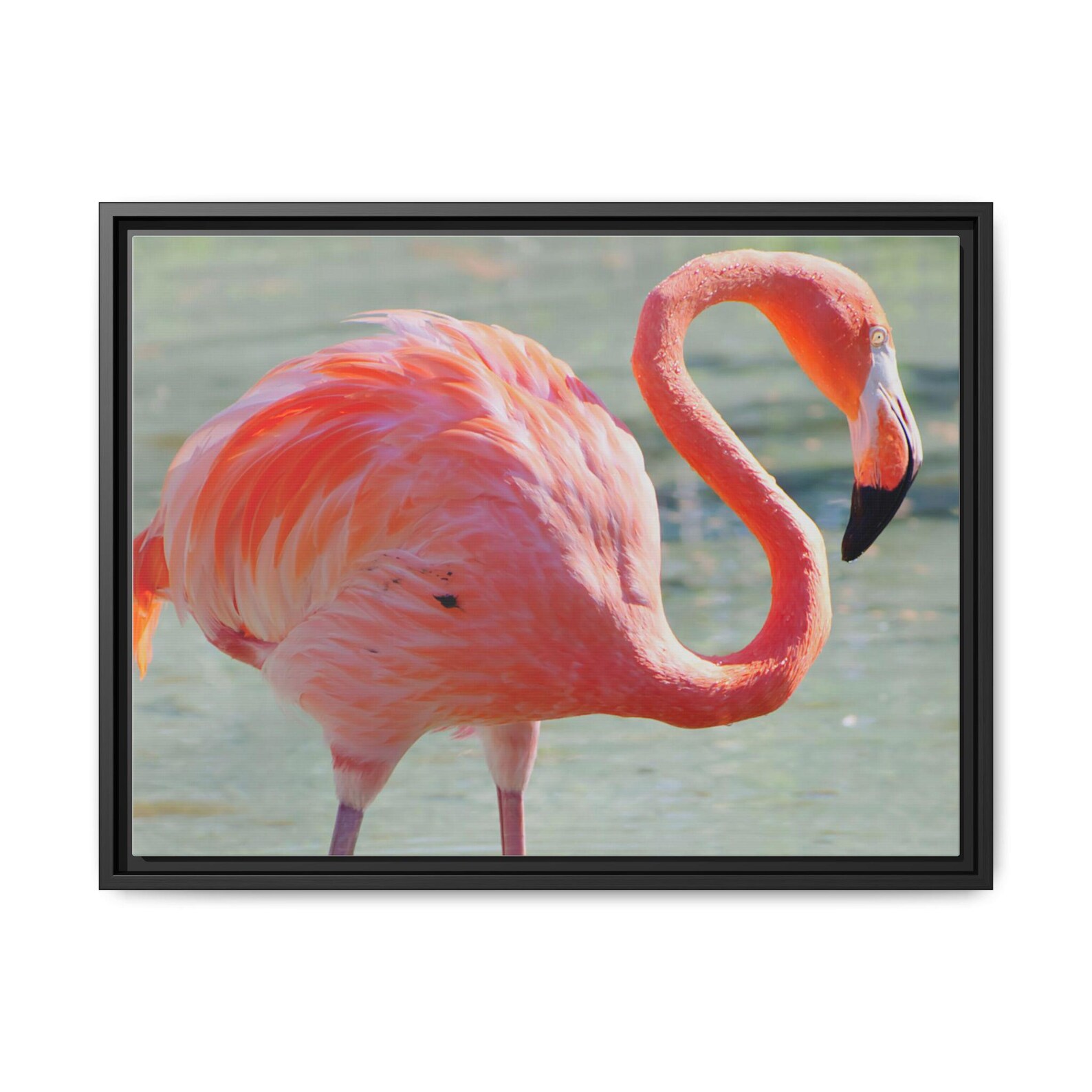 Pink Flamingo Framed Canvas Print | Tropical Home Decor - Etsy