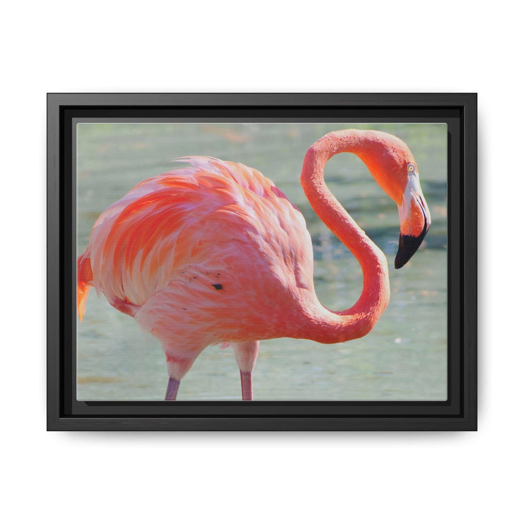 Pink Flamingo Framed Canvas Print | Tropical Home Decor - Etsy