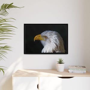 Eagle Poster | Wildlife Wall Art | Bald Eagle Print | Patriotic Home ...