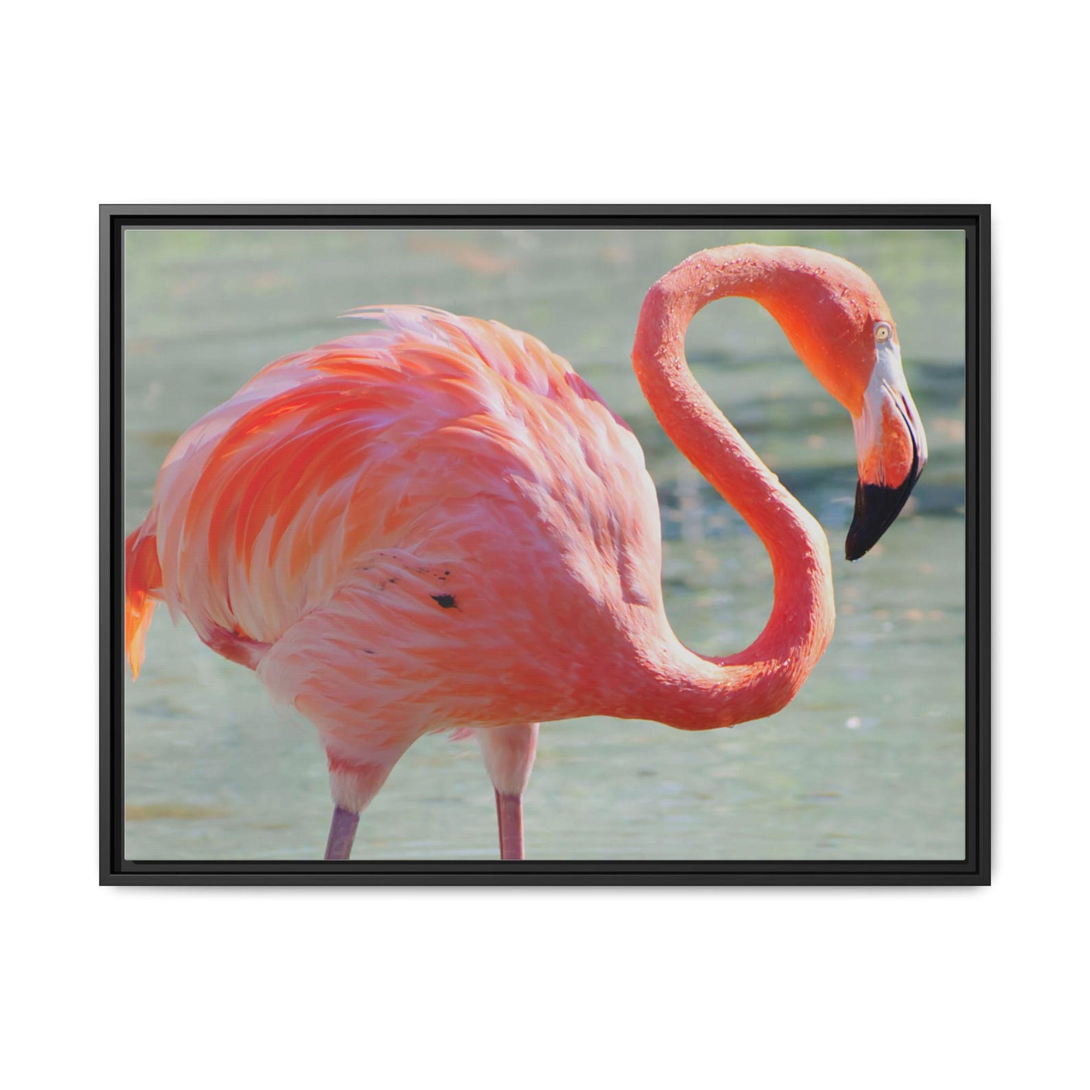 Pink Flamingo Framed Canvas Print | Tropical Home Decor - Etsy