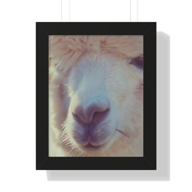 MRSPhotographyStudio - Etsy