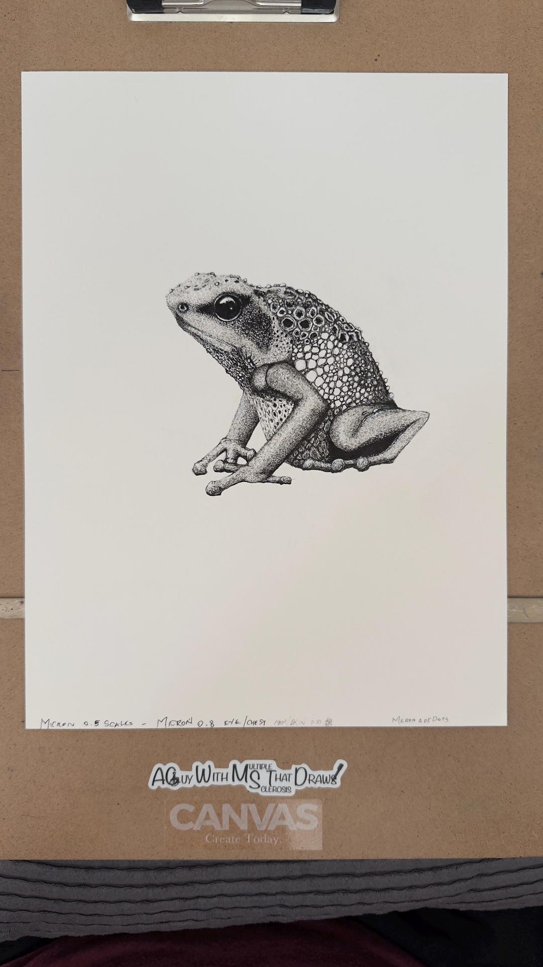 Goliath Frog - Original Drawing - Etsy