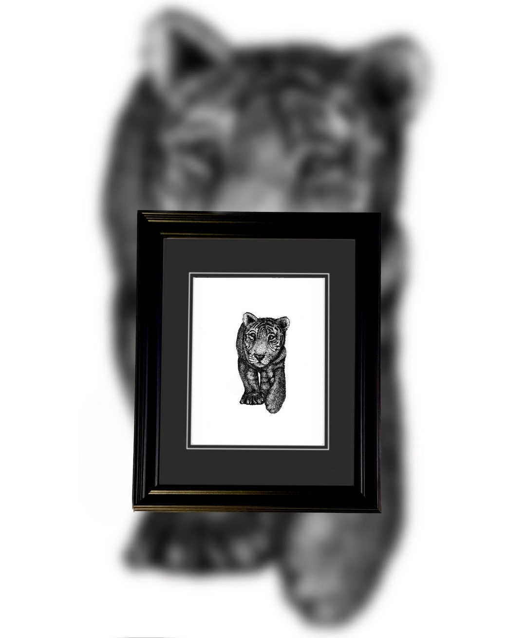 Tiger Limited Edition Print - Etsy