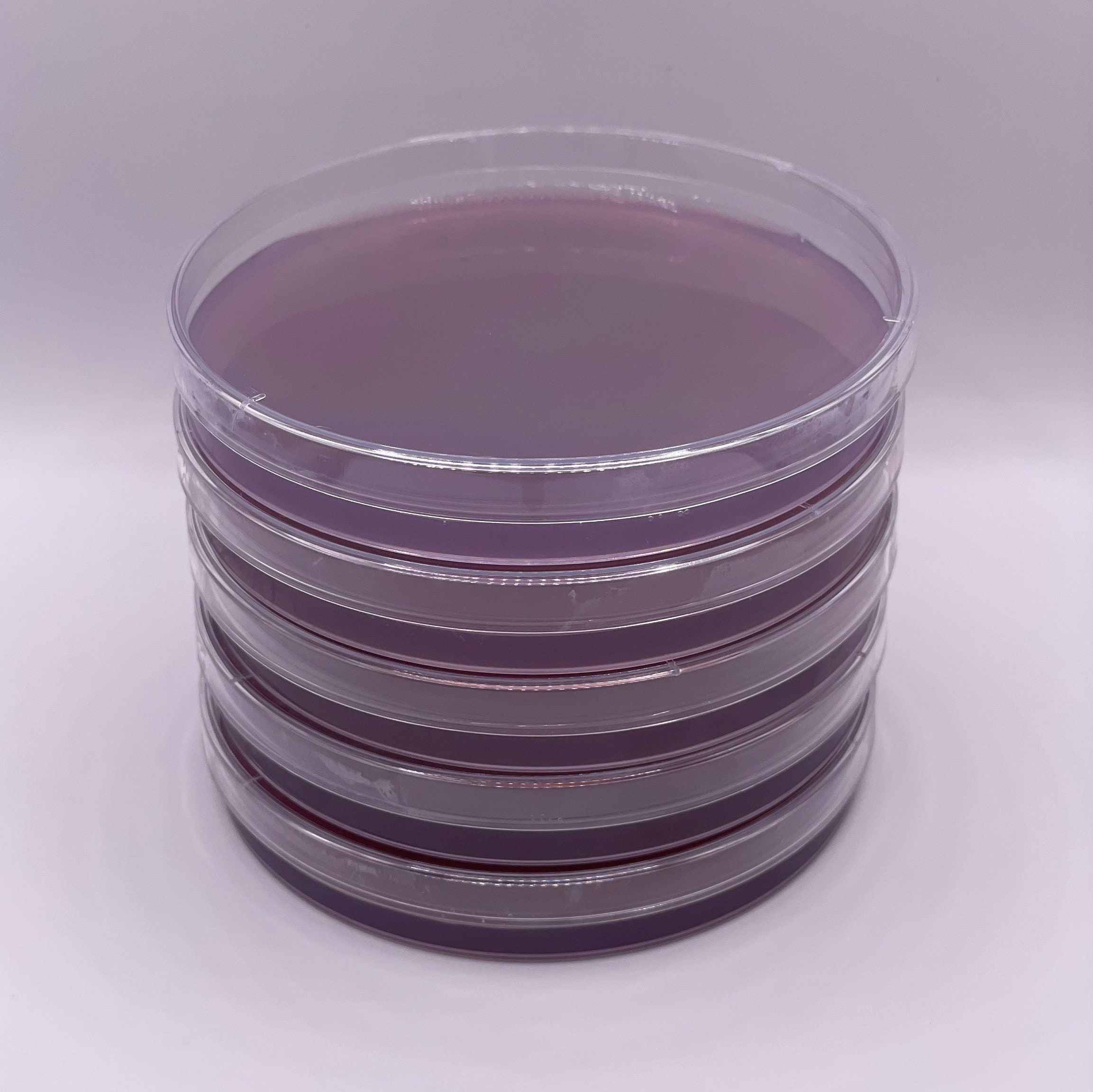 X20 Malt Extract Agar Plates - Etsy