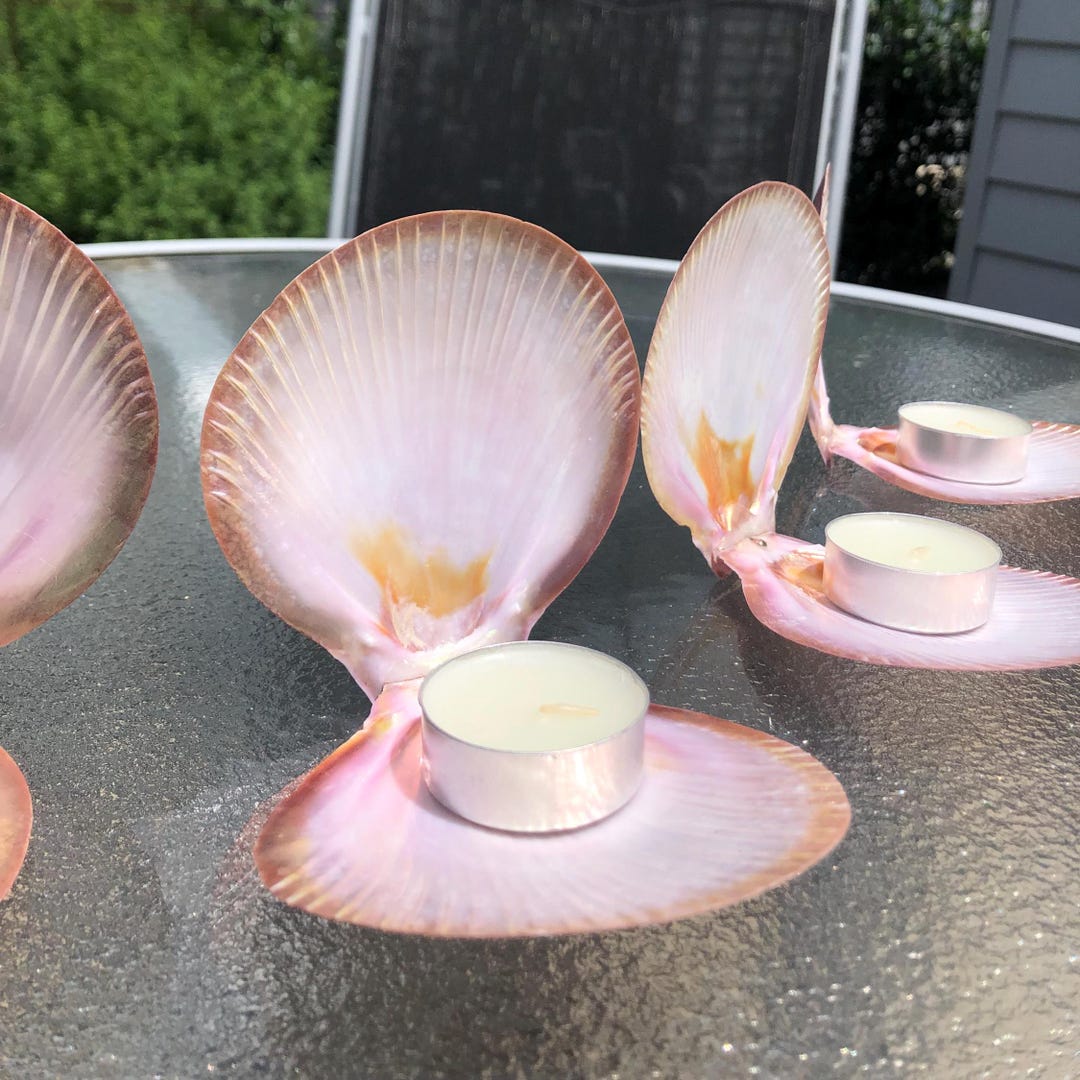 Scallop Shell Tealight Candle Holder - Etsy