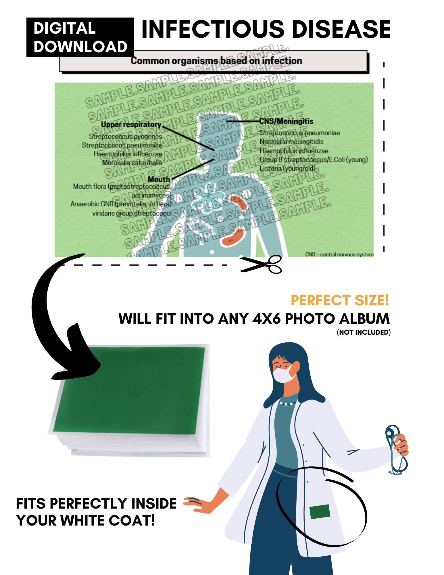 Antibiotic Infectious Disease Cheat Sheet | 4x6 Digital Prints/booklet ...