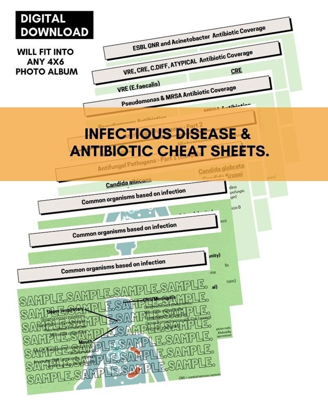 Antibiotic Infectious Disease Cheat Sheet | 4x6 Digital Prints/booklet ...