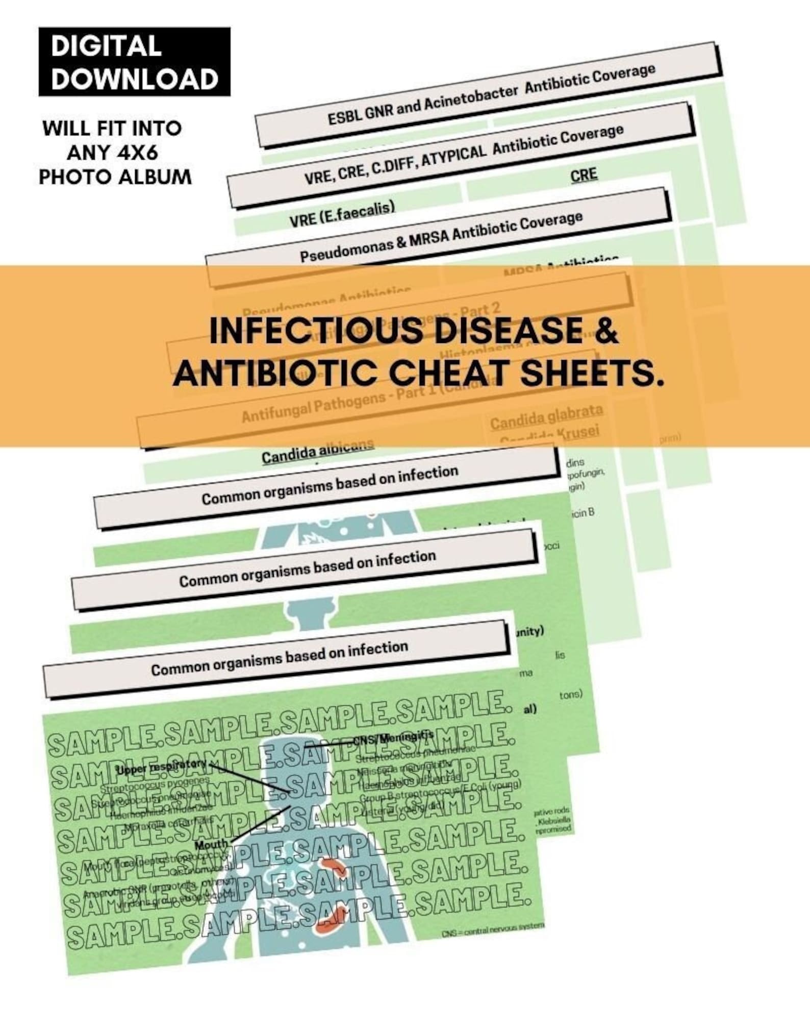 Antibiotic Infectious Disease Cheat Sheet | 4x6 Digital Prints/booklet ...